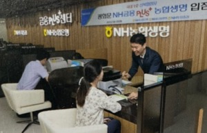 [농협 60년사] (58) 계열사 간 시너지 성과 창출 - 이코노텔링(econotelling)