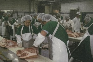 [농협 60년사] (84) 도축검사 교육 - 이코노텔링(econotelling)