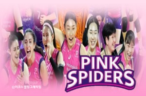 [최동철의 x파일] ㉖ 김연경의 피날레 - 이코노텔링(econotelling)